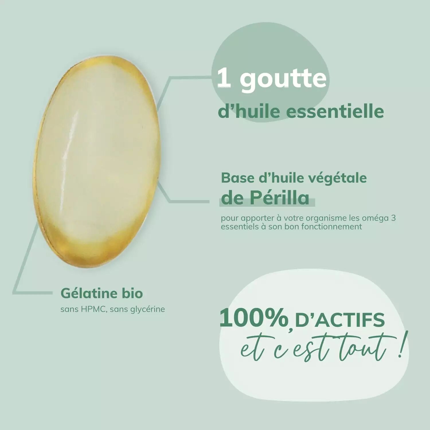 Huile complète de périlla - 90 capsules - Salvia Nutrition